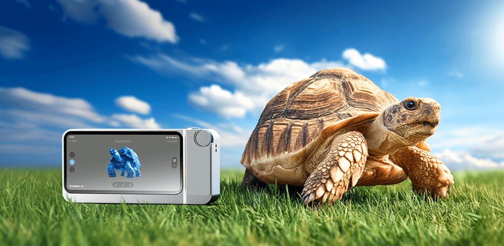 Unlocking the Past: How 3D Scanning Revives Prehistoric Tortoise Canada